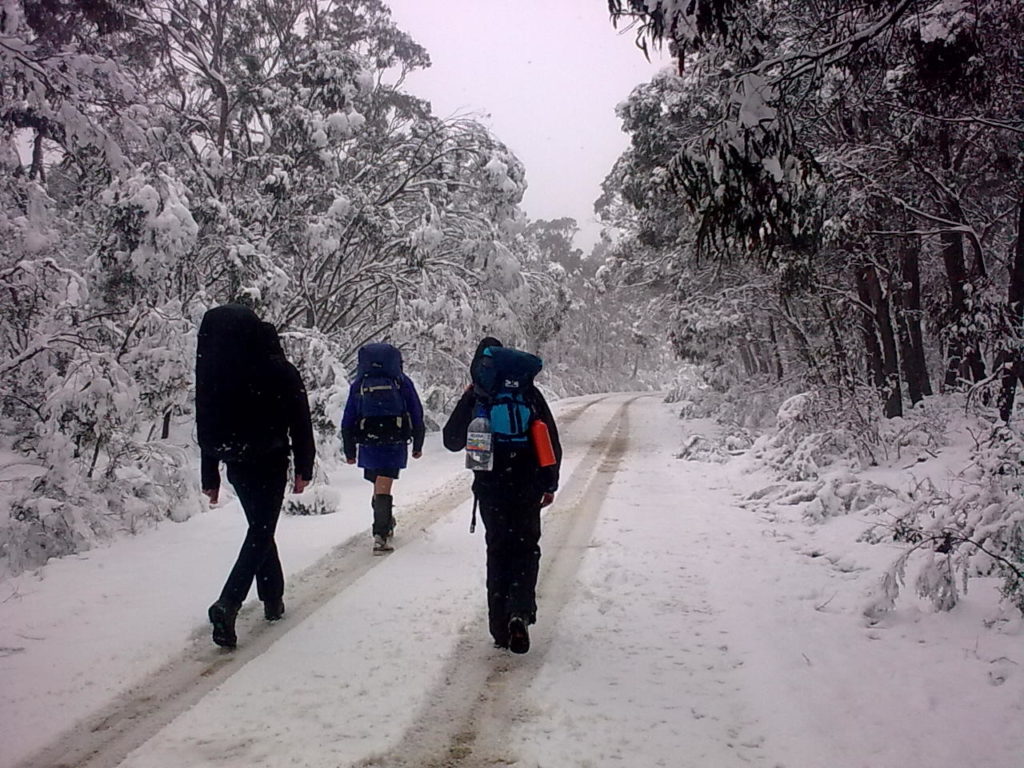 Bushwalking Images – The Yerranderie Community Web Site